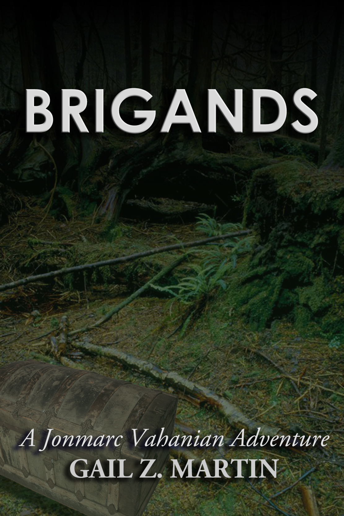 Gail Z. Martin | Brigands